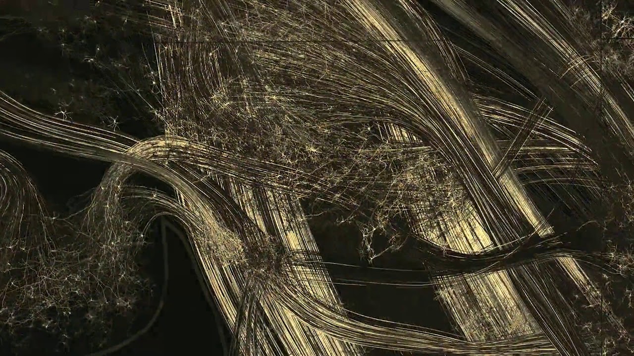 Greg Dunn - Self-Reflected - A Guided Tour - YouTube