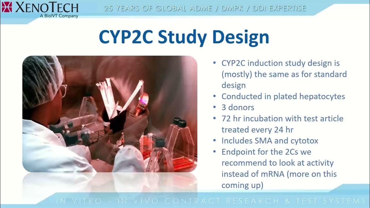2C or Not 2C: CYP2C Induction Studies for Successful Preclinical Risk ...