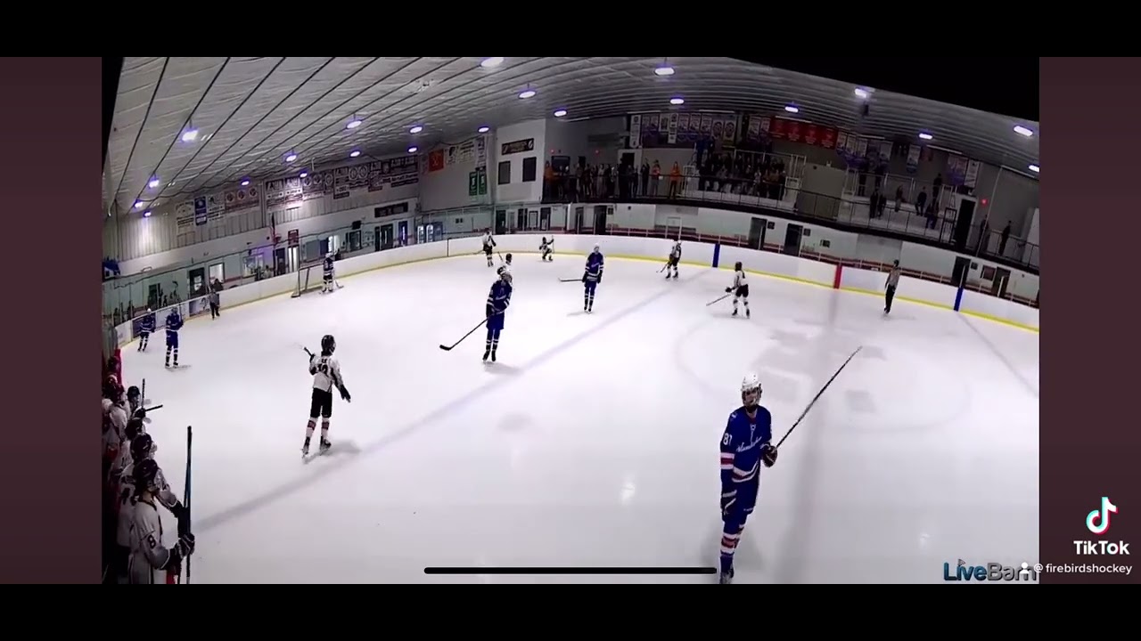 Highlight reel from 1st year in AHF - YouTube