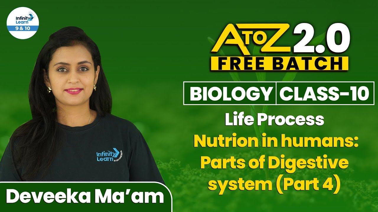 Life Process - Nutrition and The Human Digestive System - Part 4 ...