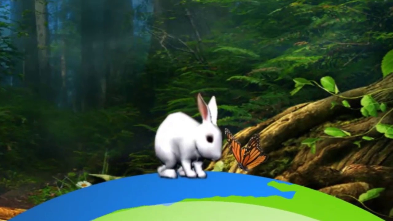 Lost & found - Animation Film - YouTube