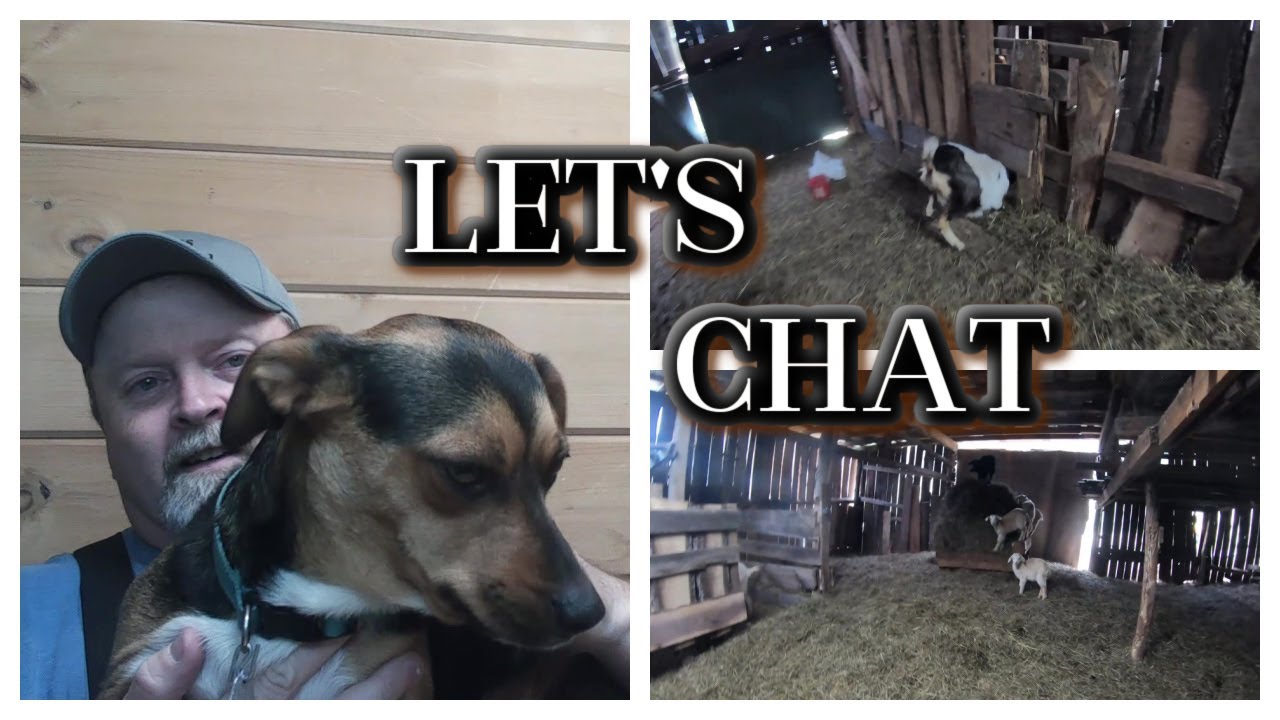 MONDAY CHAT | HELPFUL GOAT TIP | HELPING OTHERS WITH THEIR CHANNELS ...