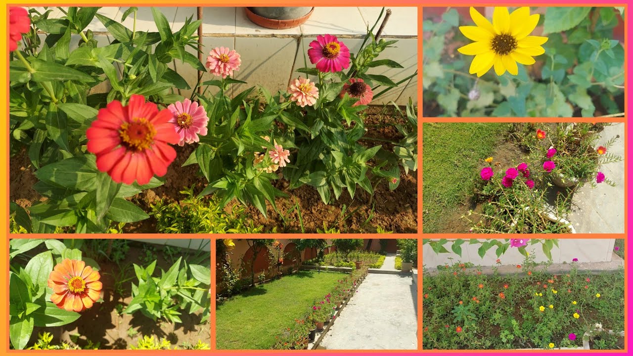 My Summer Flower Garden/Summer Garden Tour/Beautiful Garden View - YouTube