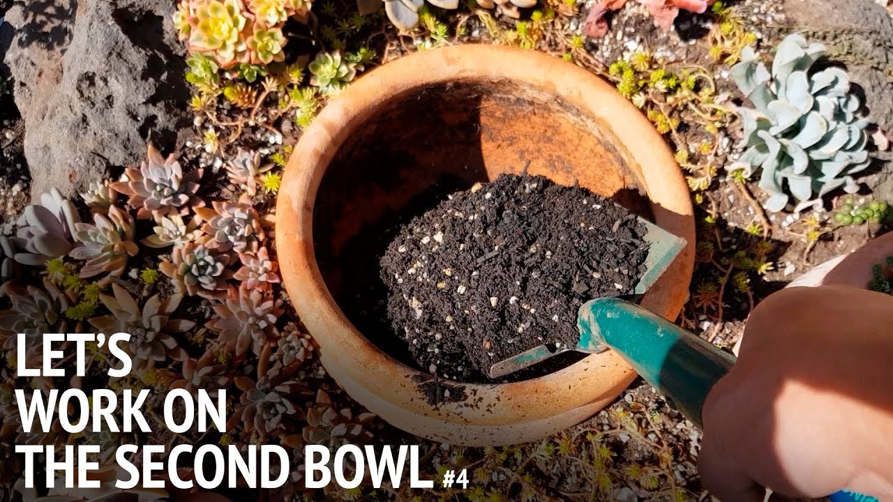 #4 Refreshing the second bowl - YouTube