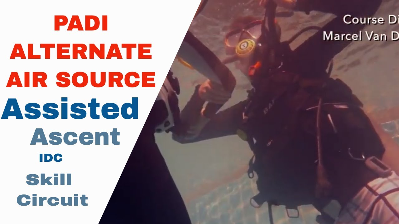 Alternate Air Source Assisted Ascent - New Revised PADI IDC Skills ...