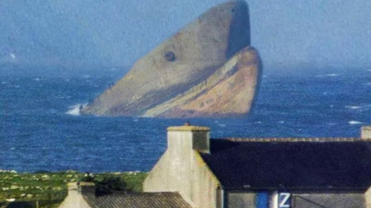 7 Cele Mai GIGANTICE Creaturi Marine Vazute VREODATA - YouTube