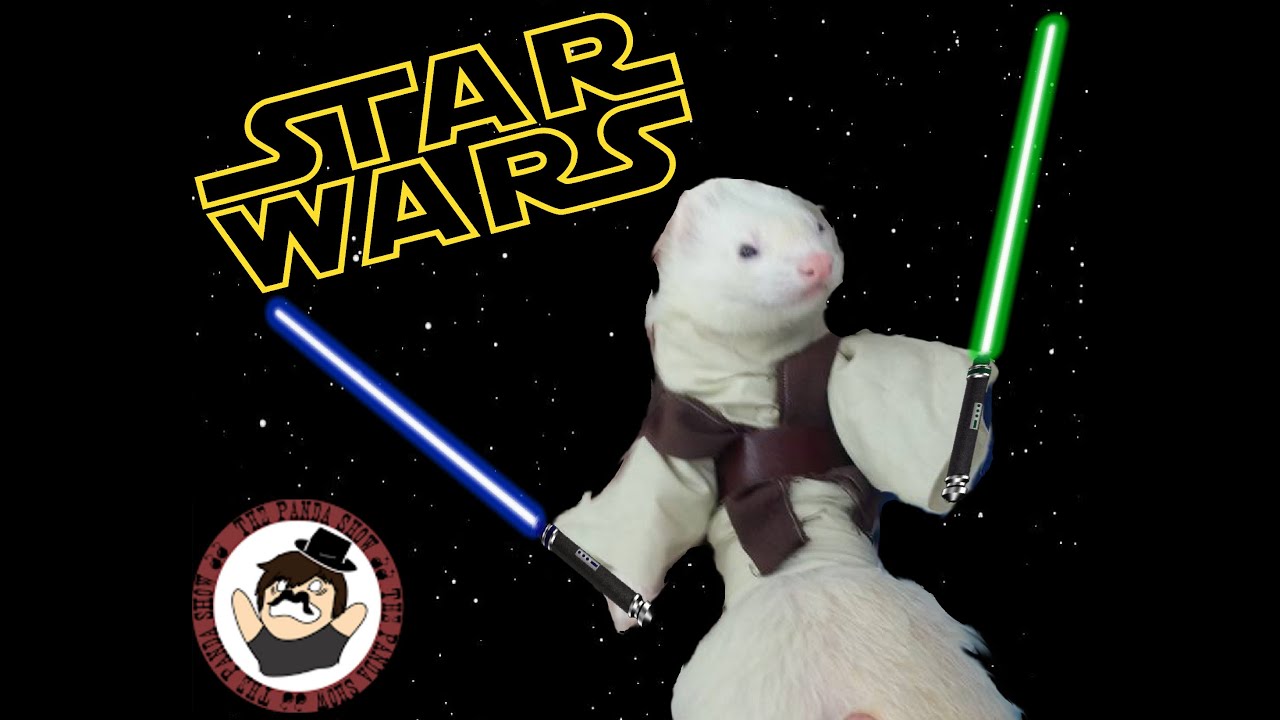 Star wars Ferrets - YouTube