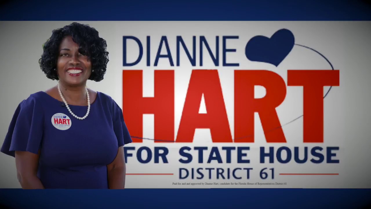 Dianne Hart Florida District 61 Campaign - They Say - YouTube