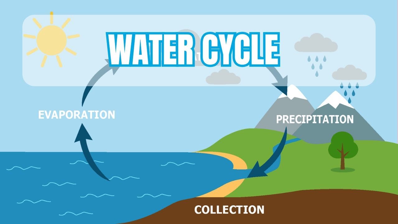 Water Cycle for Kids | How is Rain Formed? | What is Water Cycle? - YouTube