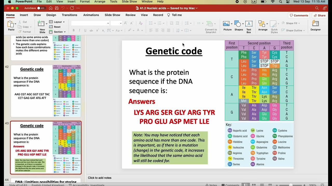 IB Biology A1.2 Nucleic acid (First exams in 2025) - YouTube