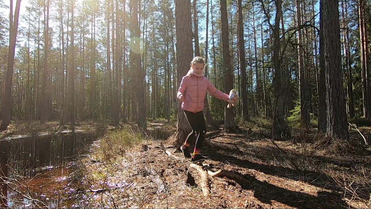 Viru raba matkarada - YouTube