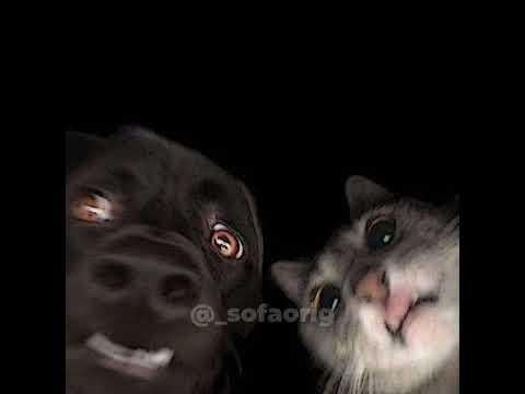 Рассвет-сердце моё-(speed up/by sofa) ★
