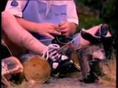 ibrahim erkal gel balan her kesin axdardigi mahni like ve abune olmagi unutmayin eziz ve deyerli izl