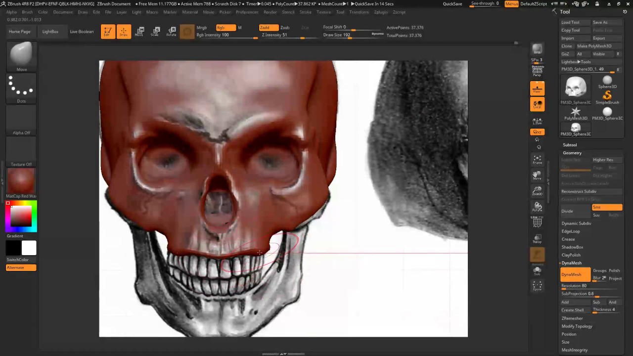 Sculpting a Skull in ZBRUSH with Dynamesh - YouTube