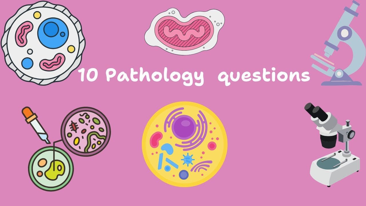 Day 17 : 10 Daily medical Questions: 10 Pathology Questions - YouTube
