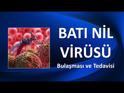 BATI NİL VİRÜSÜ Bulaşması ve Tedavisi
