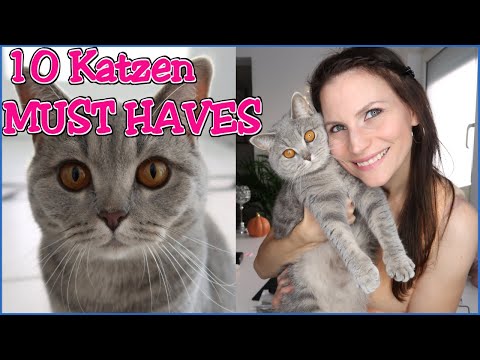10 KATZEN MUST HAVES🐱