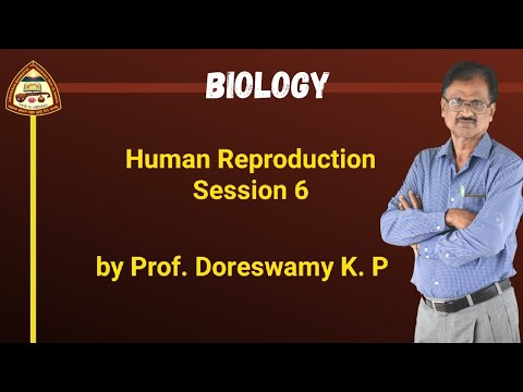 Human Reproduction (Session 6) - YouTube