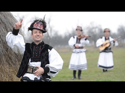 Viorel Pop - Dacii liberi