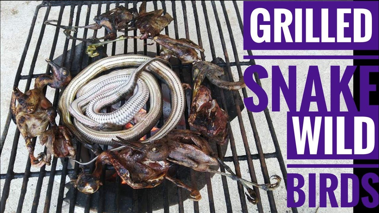 Grilled Snake - Grilled Wild Bird | ពស់អាំង កុកអាំង ទឹកម្រិច ...