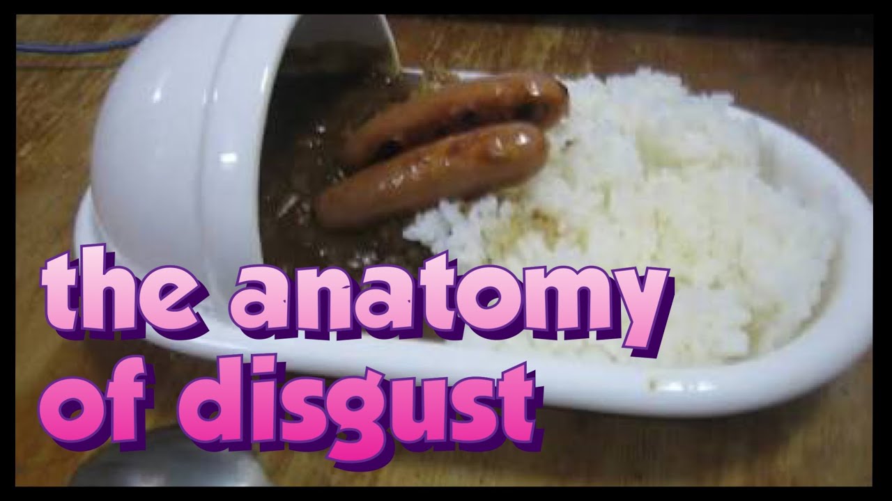 Discussing William Ian Miller's "The Anatomy of Disgust" (TPS) - YouTube