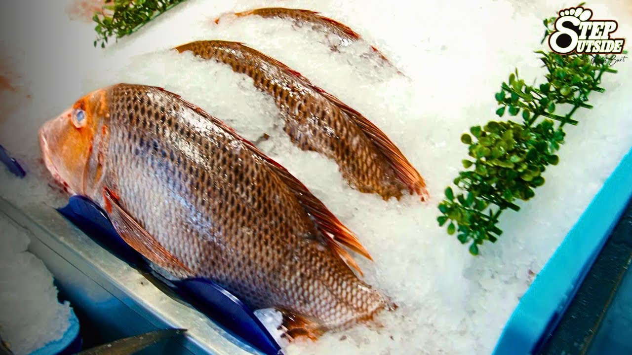 How to Choose the Best Fish for Cooking at the Seafood Market - YouTube