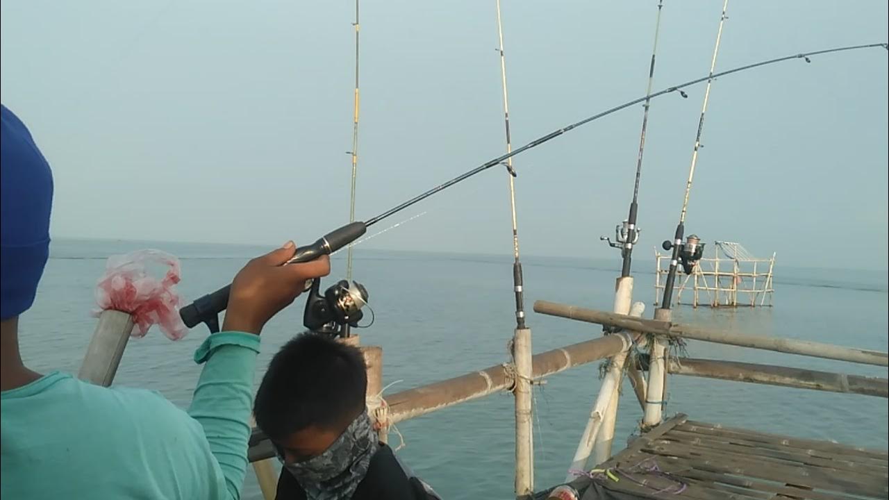 part 1,Amazing!!!mata pancing, mancing di lagoon bareng teman,#fishing - YouTube