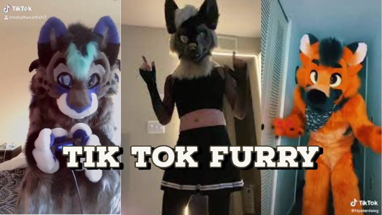 Tik Tok Furry en Español #9 - YouTube