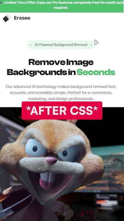 Beautiful Website With CSS. #webdevmemes #memes #css_memes - YouTube