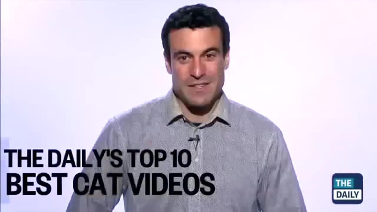 Video Kucing Lucu Bikin Ngakak [ Kompilasi] - Best Compilation Funny ...