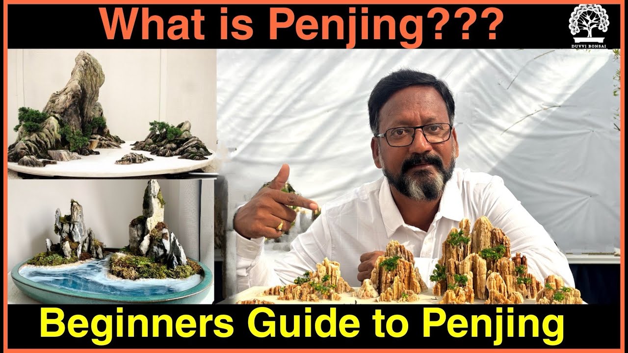 Beginners Guide to Penjing Perfection || Part 1 - YouTube