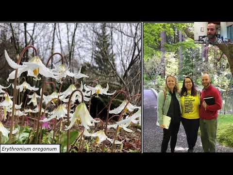 Ben Stormes: The North American Gardens at UBC Botanical Garden