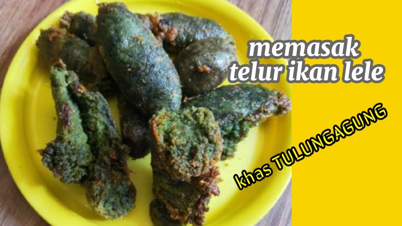 CARA MEMASAK TELUR IKAN LELE YANG ENAK KHAS TULUNGAGUNG TANPA MSG - YouTube