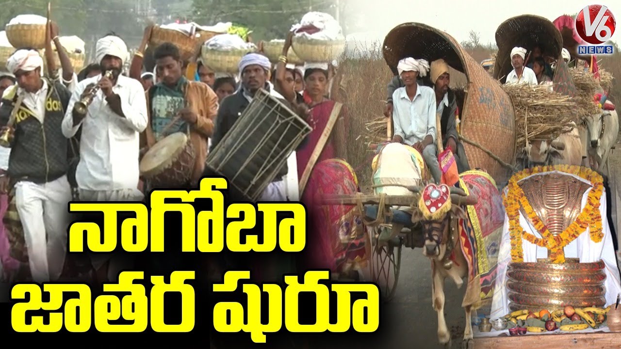 Tribal Festival Nagoba Jatara Begins Grandly | Adilabad | V6 News - YouTube