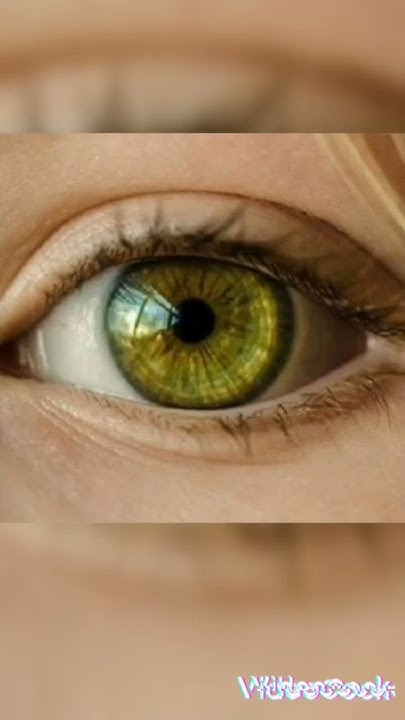 ¿de que color son tus ojos?#likeforlikes #suscribet - YouTube