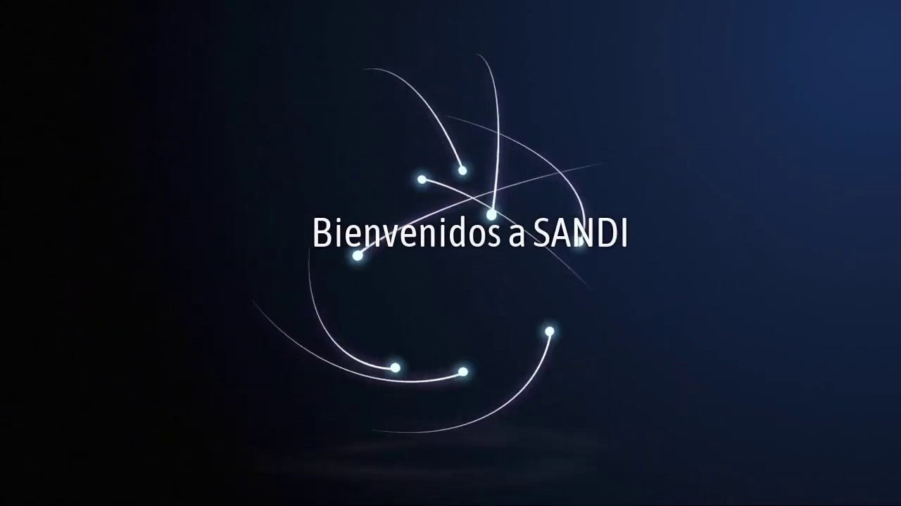 SANDI Accesibilidad Web - YouTube