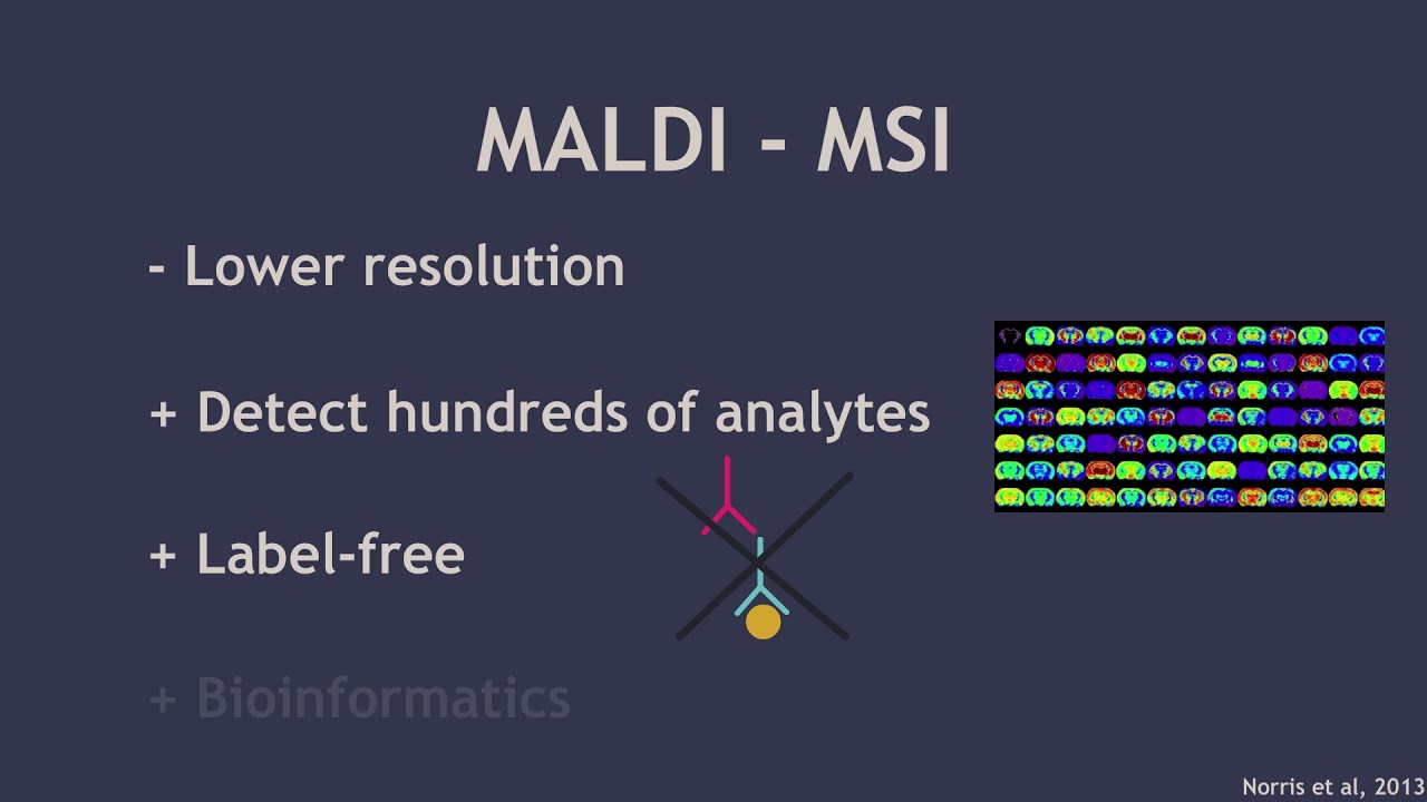 MALDI MSI - YouTube