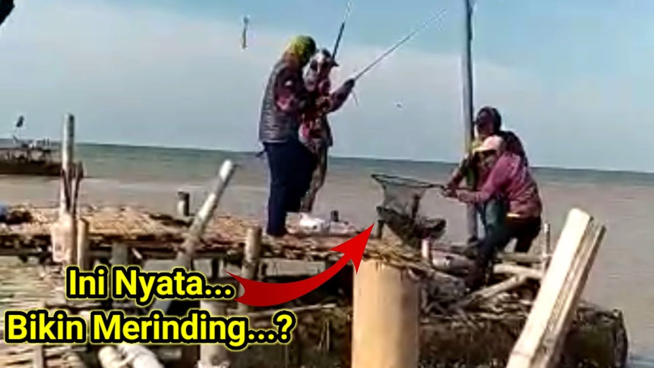 Harus berani !! Jangan takut mancing di tempat ini, karena ikan yang ...