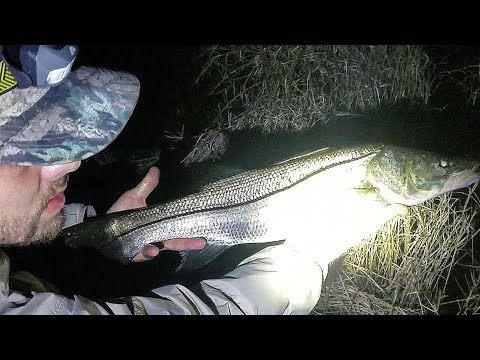 Caught a BIG SNOOK in the Florida Everglades!!! RARE CATCH!! - YouTube