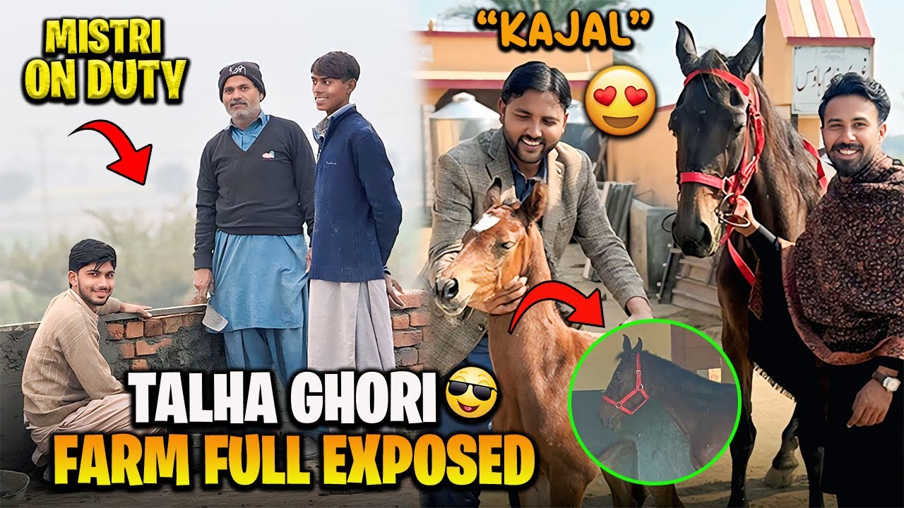 Talha Ghori Farm Full Explore Krdiya😍Finally Mistri v Aagaye 😍 گھر ...