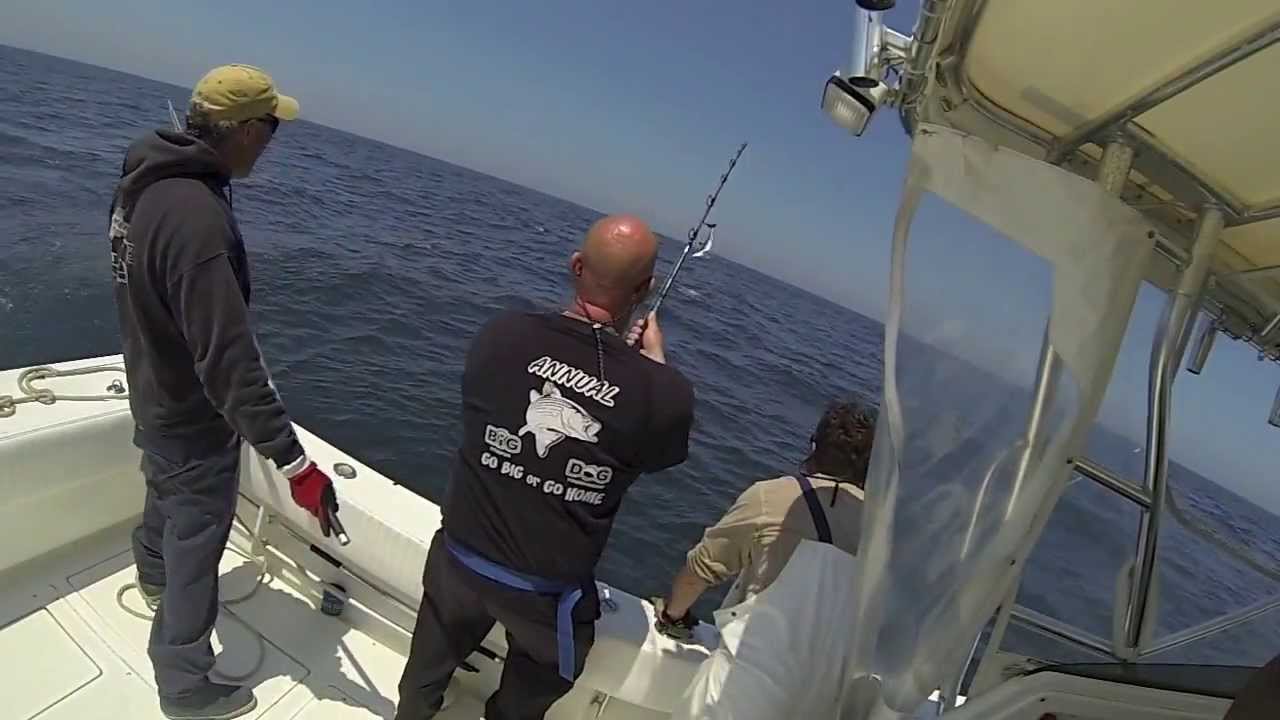 Mako Shark Hooked Jumping Next to boat - YouTube