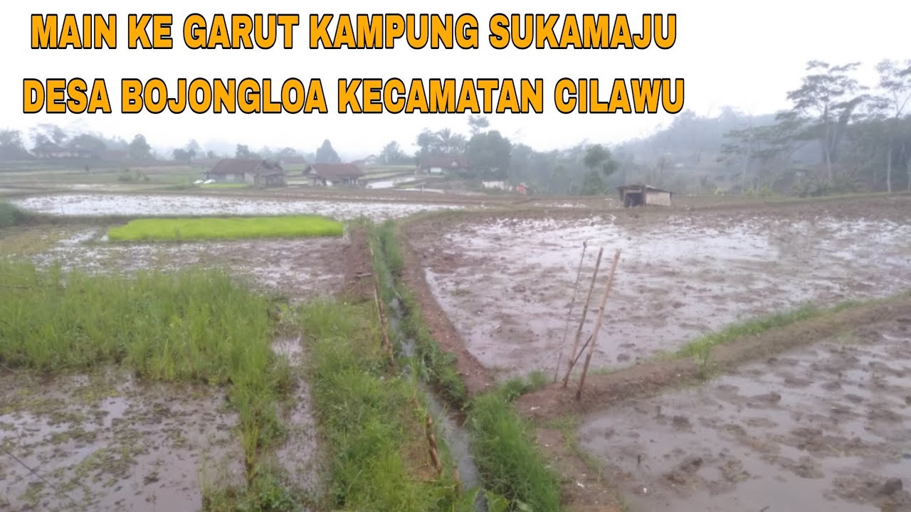 Main Ke Garut Kampung Sukamaju Desa Bojongloa Kecamatan Cilawu Garut ...
