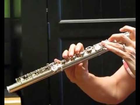 Trevor James Recital II Pro Flute For Sale - Demo of High Register ...