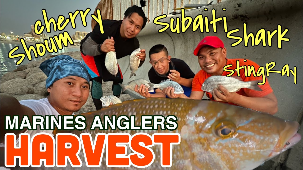 Good Catch (Shoum, Stingray, Cherry, Shark) Marines Anglers Fishing ...