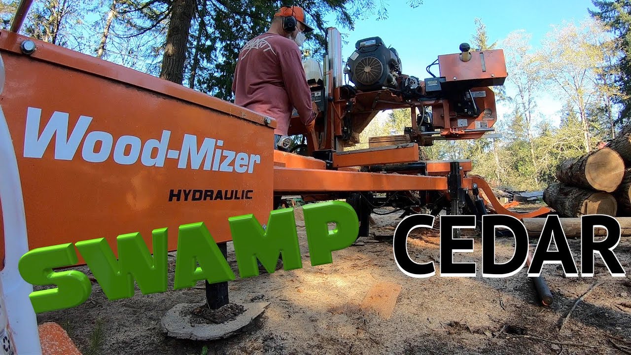 Salvaged Swamp Cedar on the Sawmill - YouTube
