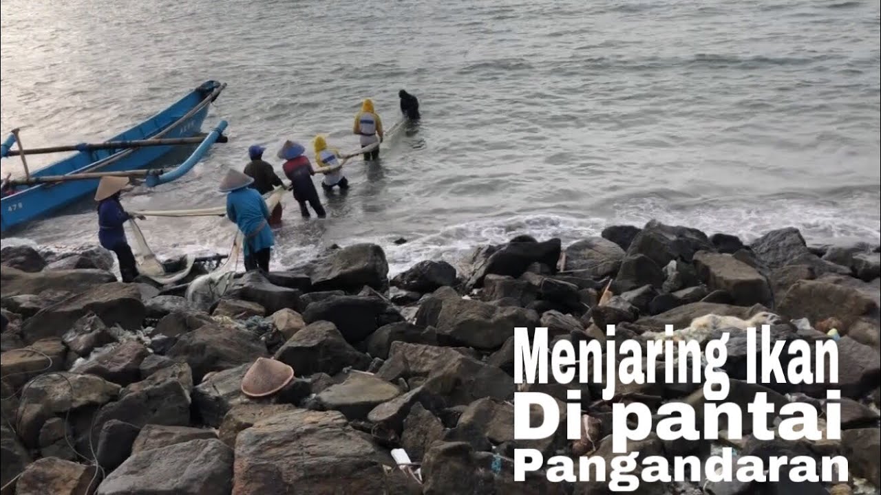 Cara nelayan menjaring ikan di laut - YouTube