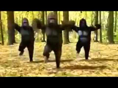 uz kilp