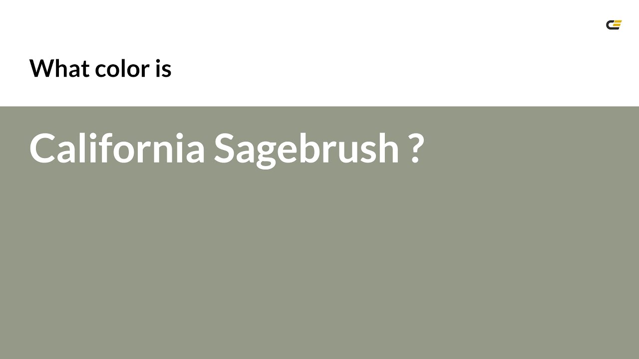 California Sagebrush color #959988 hex color - Green color - Cool color ...