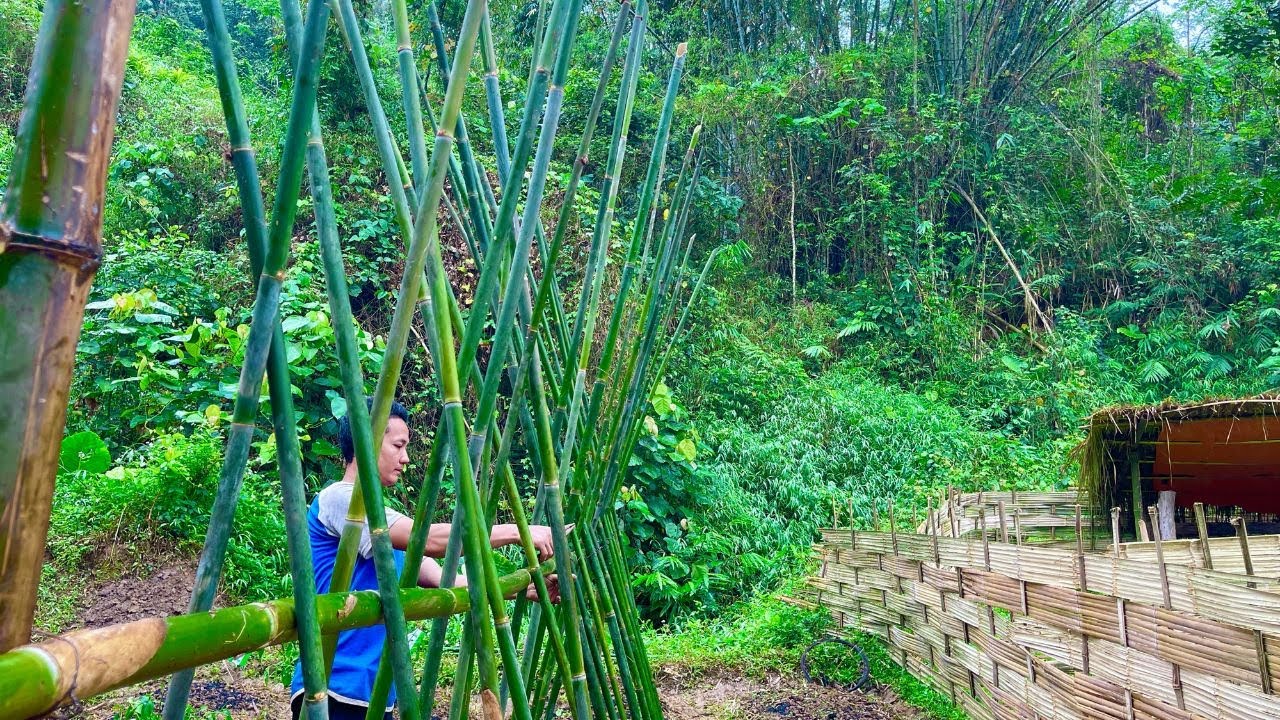 Survival Alone || Growing Vegetables And Breeding Wild Life and Farming ...