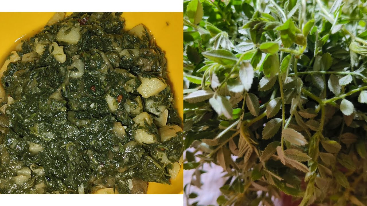 ছোলার শাক রেসিপি/Cholar shak recipe #bengali #cookingvideo #viralvideo ...